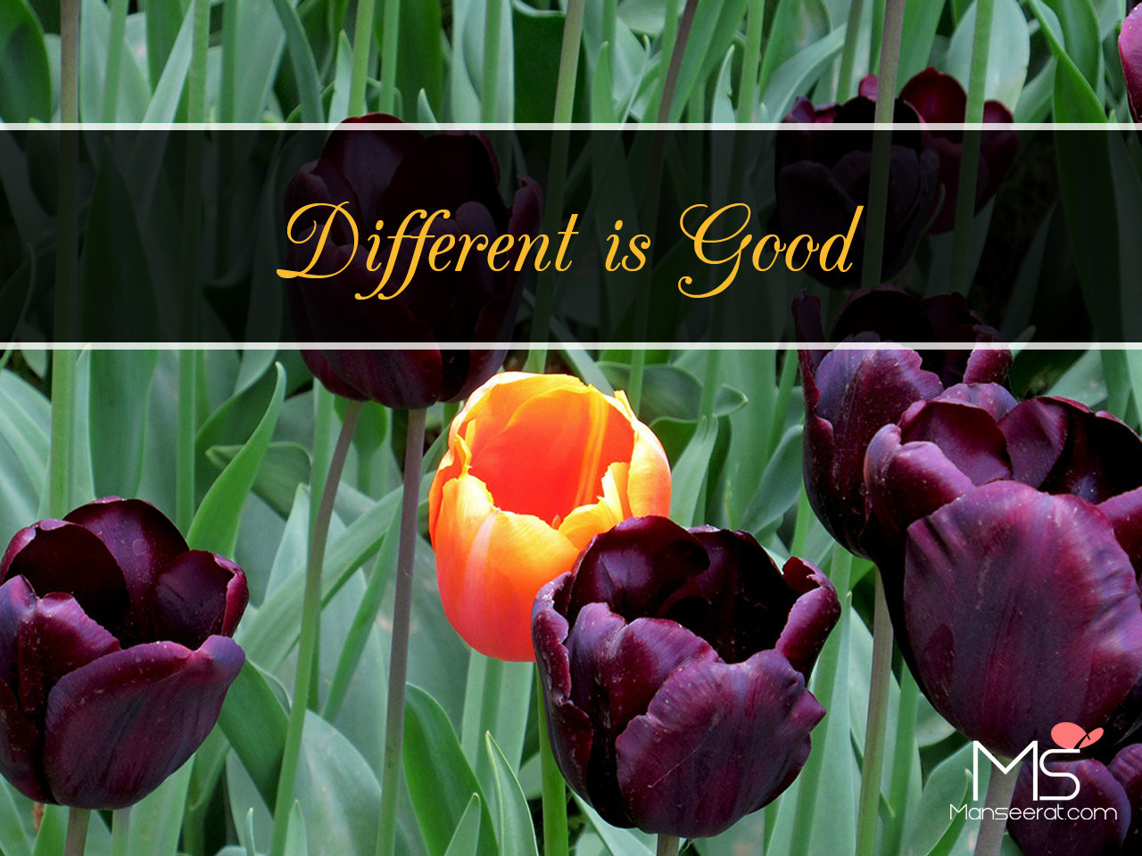 Thirty Two Three Word Inspirational Wallpapers – Manseerat.com