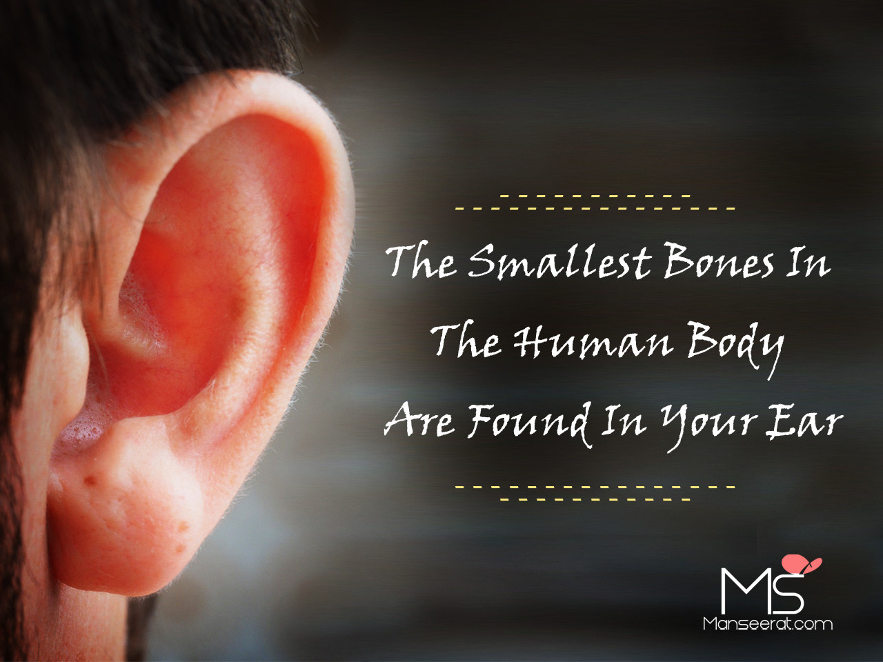 35 Astonishing Body Facts You Might Not Know – Manseerat.com